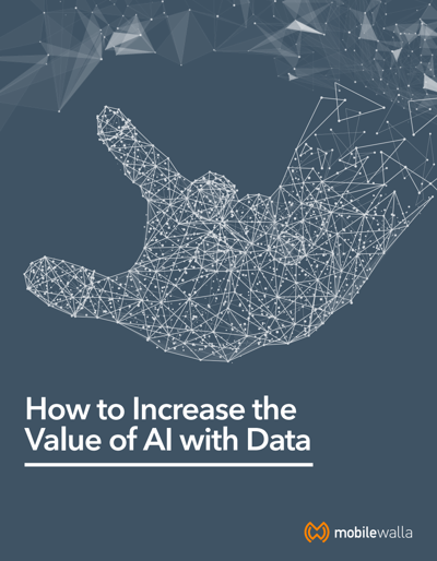 How to Increase the Value of AI with Data | Mobilewalla